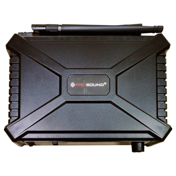 MICROFONO PROSOUND INALAMBRICO PWM-21S - Alamo Musical